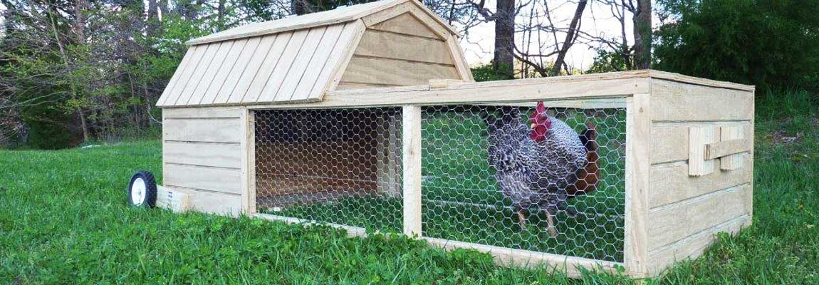 chicken tractor – portable chicken coop | Factory Built Park Model RV ...